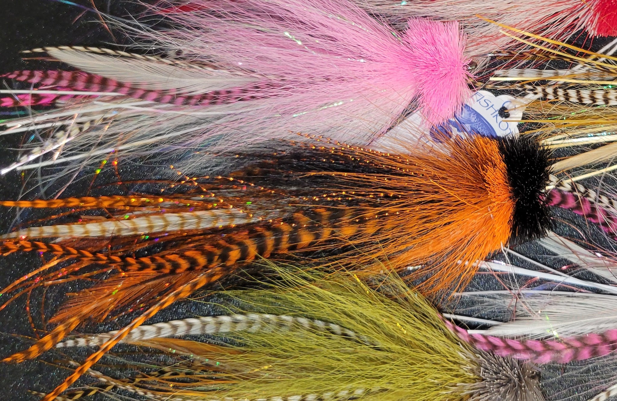 Single Buford Predator fly – Fishkota Fly Shop